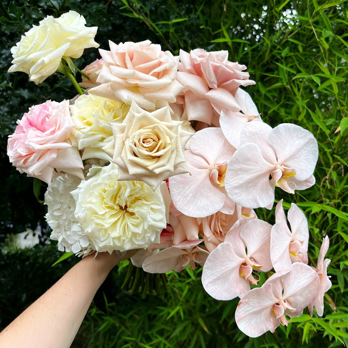 CUPID - Spoil your lover this Valentine's Day with this stunning ...